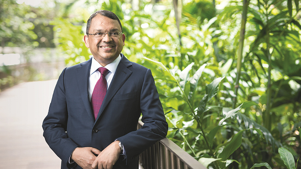 Executive Committees